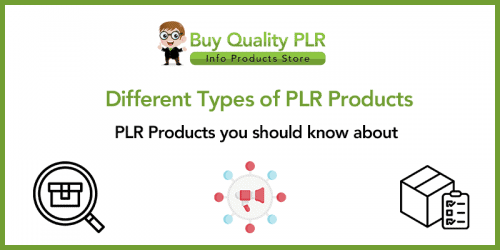 Different Types of PLR Products | PLR Content Formats