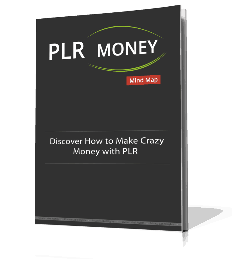 PLR Money Made Easy eBook and Videos Training