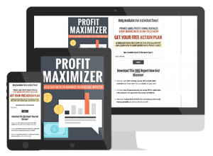 Quality Profit Maximizer PLR List Building Report | Profit Maximizer plr