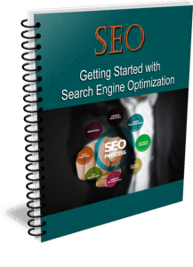 Search Engine Optimization MRR eBook and Minisite