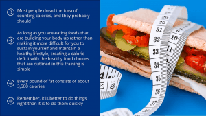 The Foolproof Diet Sales Funnel with Master Resell Rights