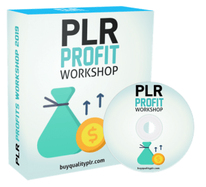 PLR Profits Blueprint | How To Use PLR Training Course