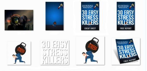 30 Easy Stress Killers PLR Lead Magnet Toolkit | Fight Stress PLR Report