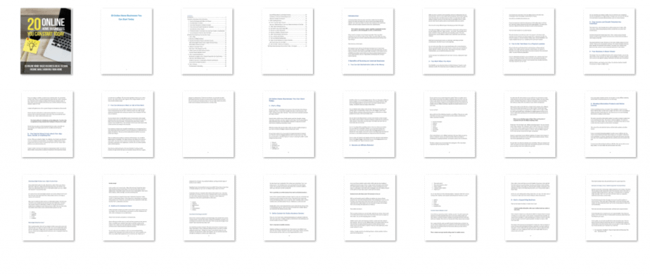 20 Online Home Businesses You Can Start Today PLR eBook 10k Words