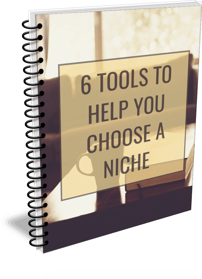 Choosing A Niche Premium PLR Package | Niche Selection PLR Content