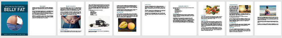 Lose Your Belly Fat Premium PLR Package | Belly Fat Loss PLR Content