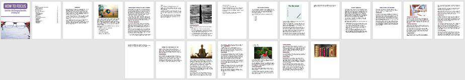 Focus Premium PLR Package | High Quality Focus PLR Content Package