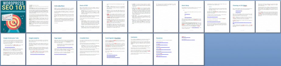 Wordpress SEO 101 PLR Lead Magnet Kit | Wordpress SEO PLR