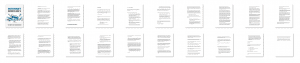 Internet Business Maps 6 Premium Quality PLR Reports 19k Words