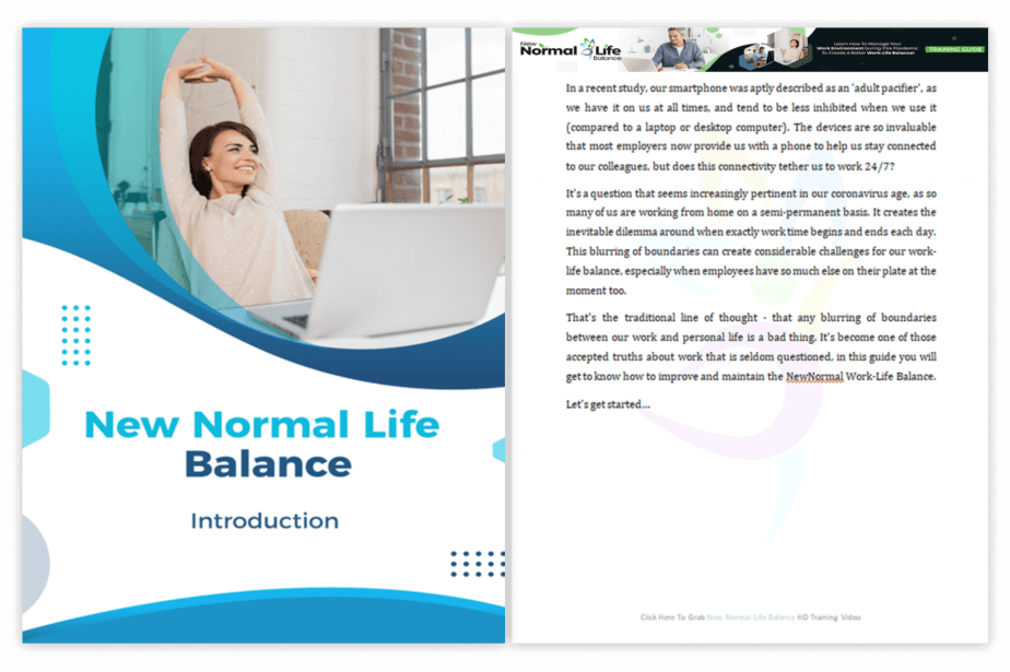 New Normal Life Balance PLR Funnel | Work-Life Balance PLR