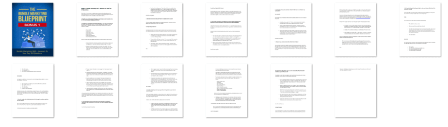 Bundle Marketing Blueprint Premium PLR Course 22k Words