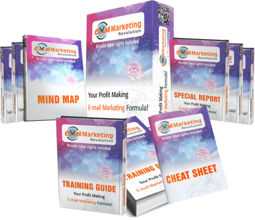 PLR Sales Funnels | Niche Digital PLR Product Funnels