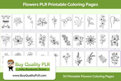 PLR Coloring Books and Pages | PLR Printable Coloring Products