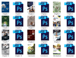 Wellness Wheel PLR Sales Funnel | High Quality Wellness PLR