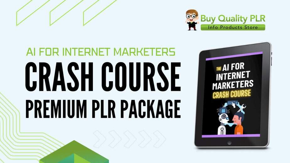 AI For Internet Marketers Crash Course Premium PLR Package